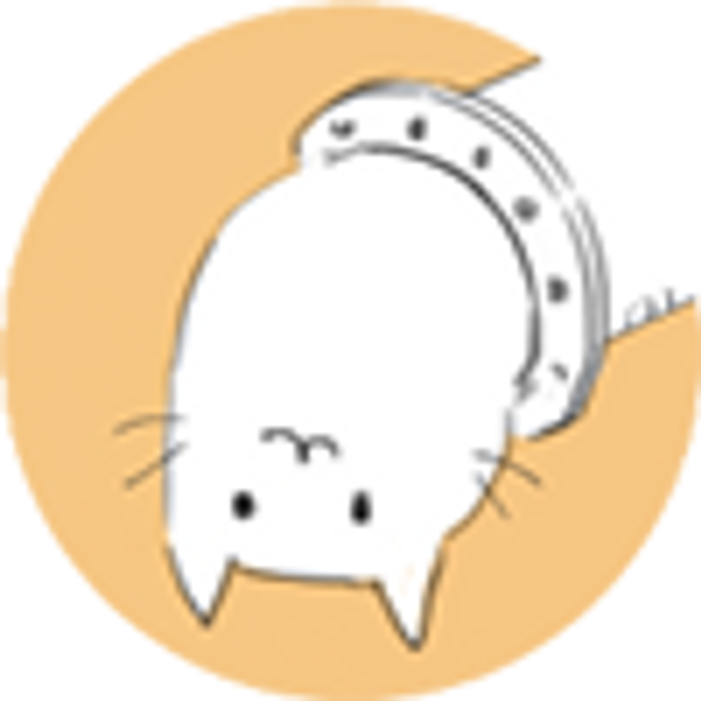 貓特蘭蒂斯》研發日誌Vol.4 | TapTap